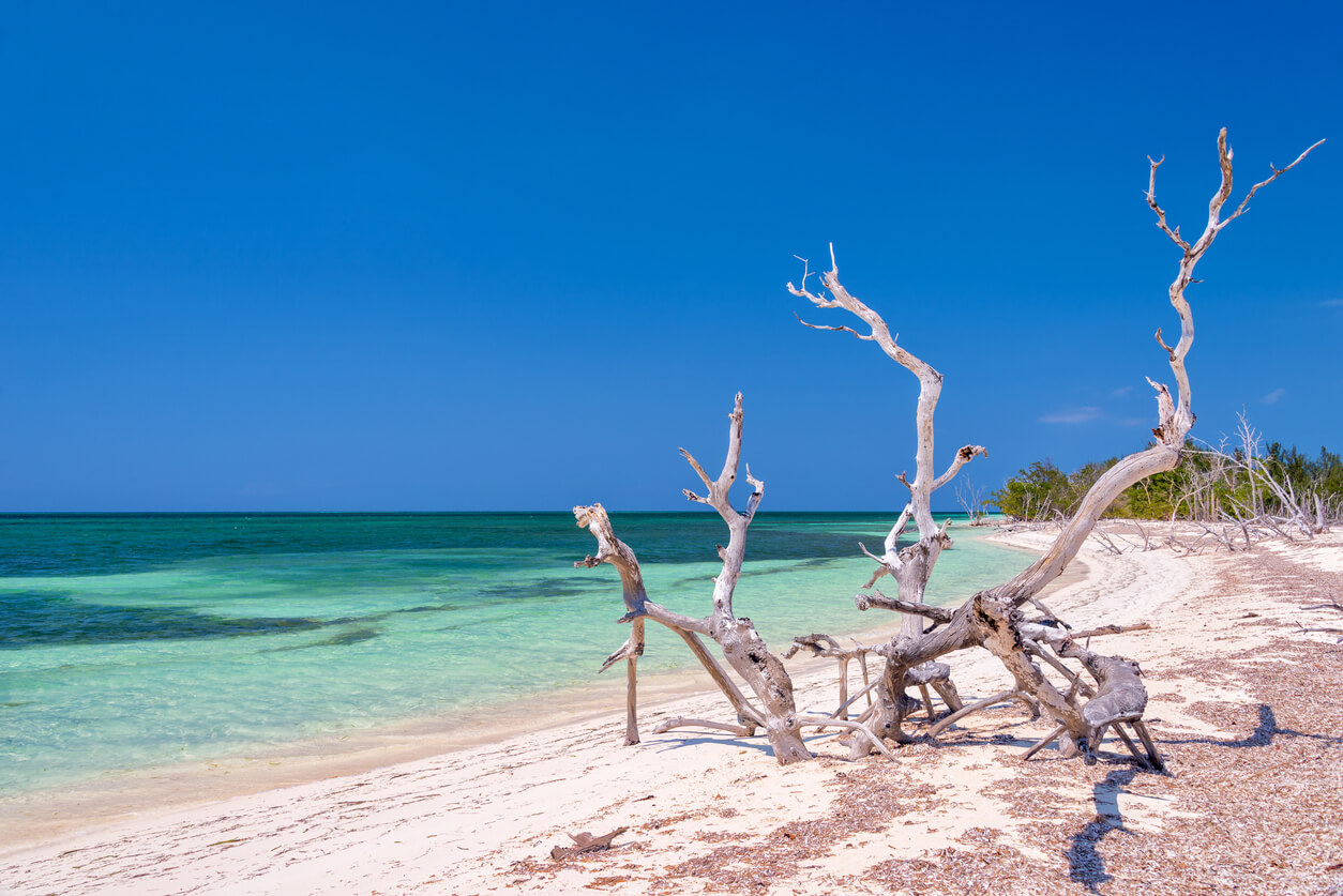 Top 11 des plus belles Plages de Cuba (avec Carte et Photos)