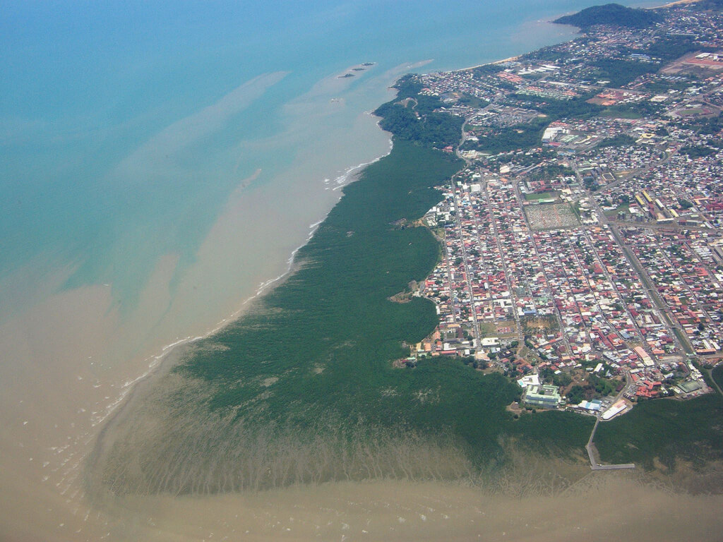 Marée à Cayenne : Horaires complets des marées sur 7 jours